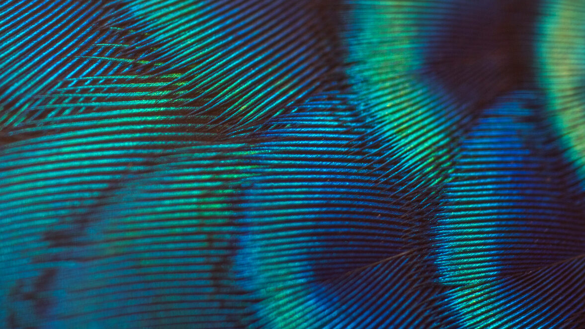 FCA Five-Year Strategy for 2025 to 2030 | HFW