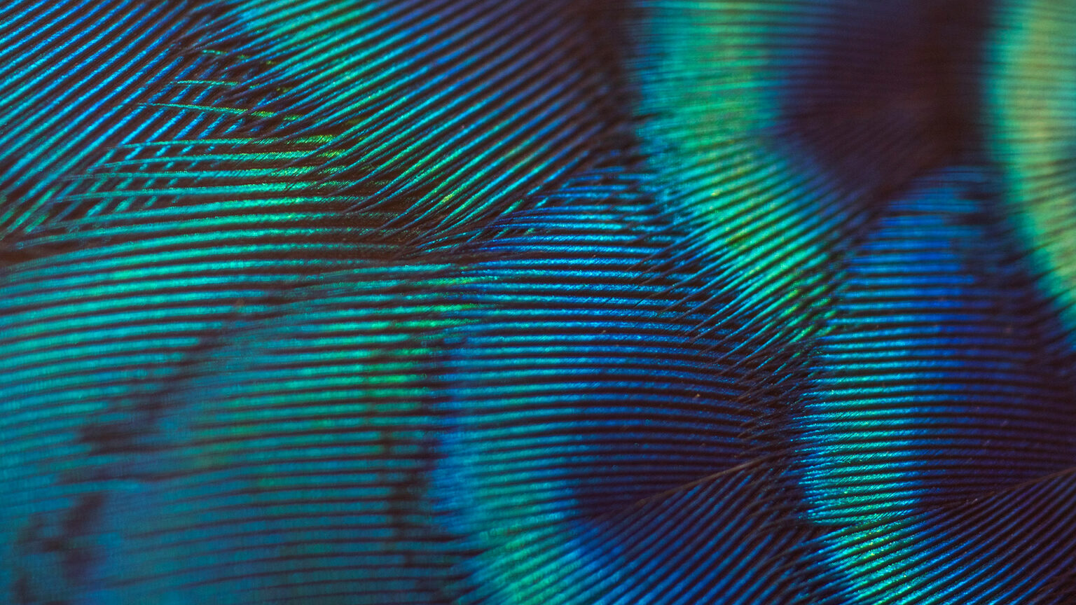 What exactly does a liability cap, cap? | HFW