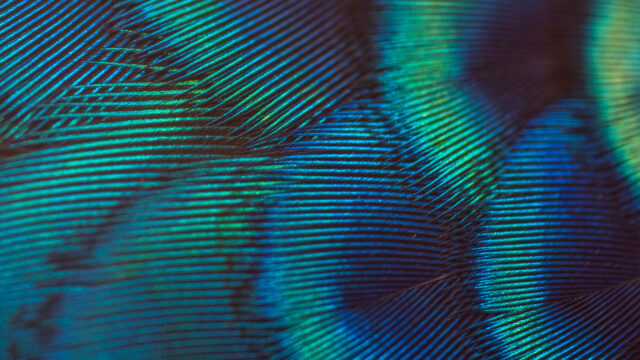 DFSA’s New Client Classification Regime for Authorised Firms | HFW