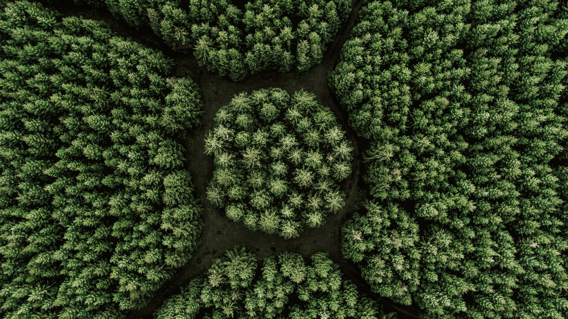 An Introduction to Insetting - HFW