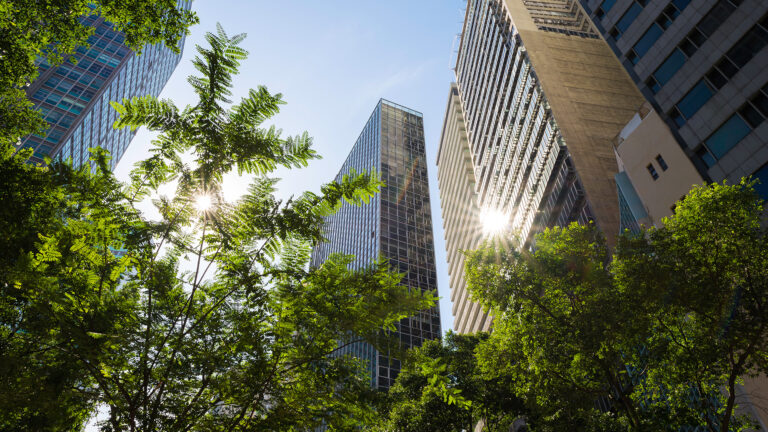 HFW | Geneva | HFW in Switzerland